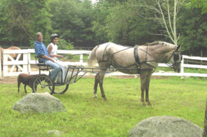 Gallery - Cornerstone Farm